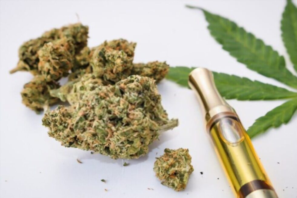 Best CBD Vape Oils That Will Reduce Pain & Boost Relaxation